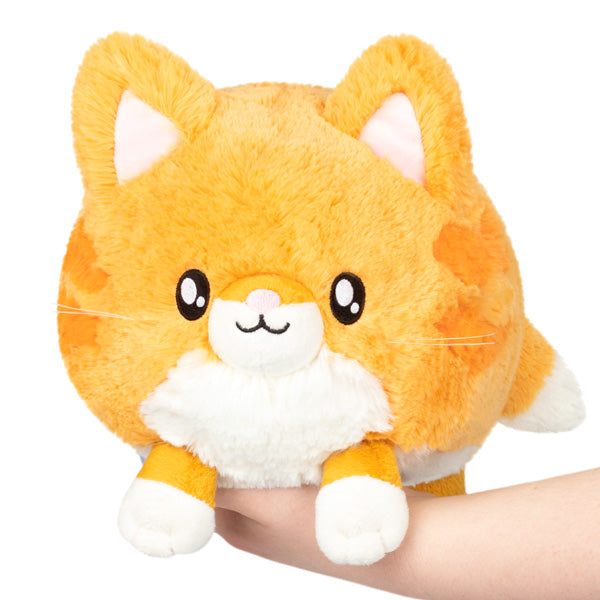 Mini Squishable Kitty Squishable Ca