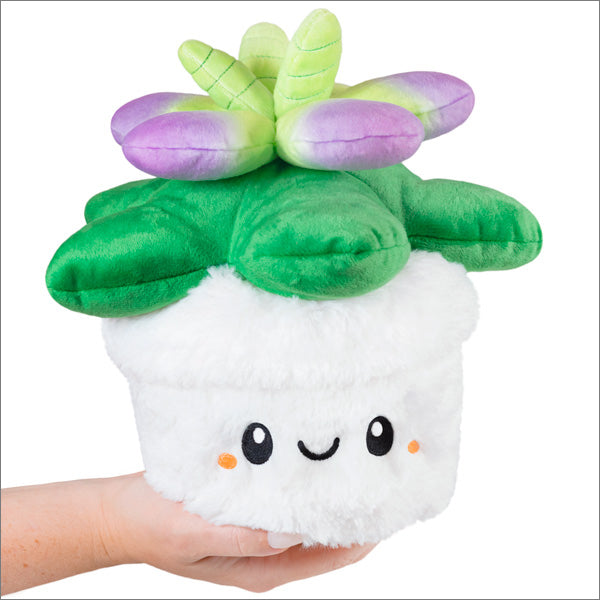 Squishables – Squishable.ca