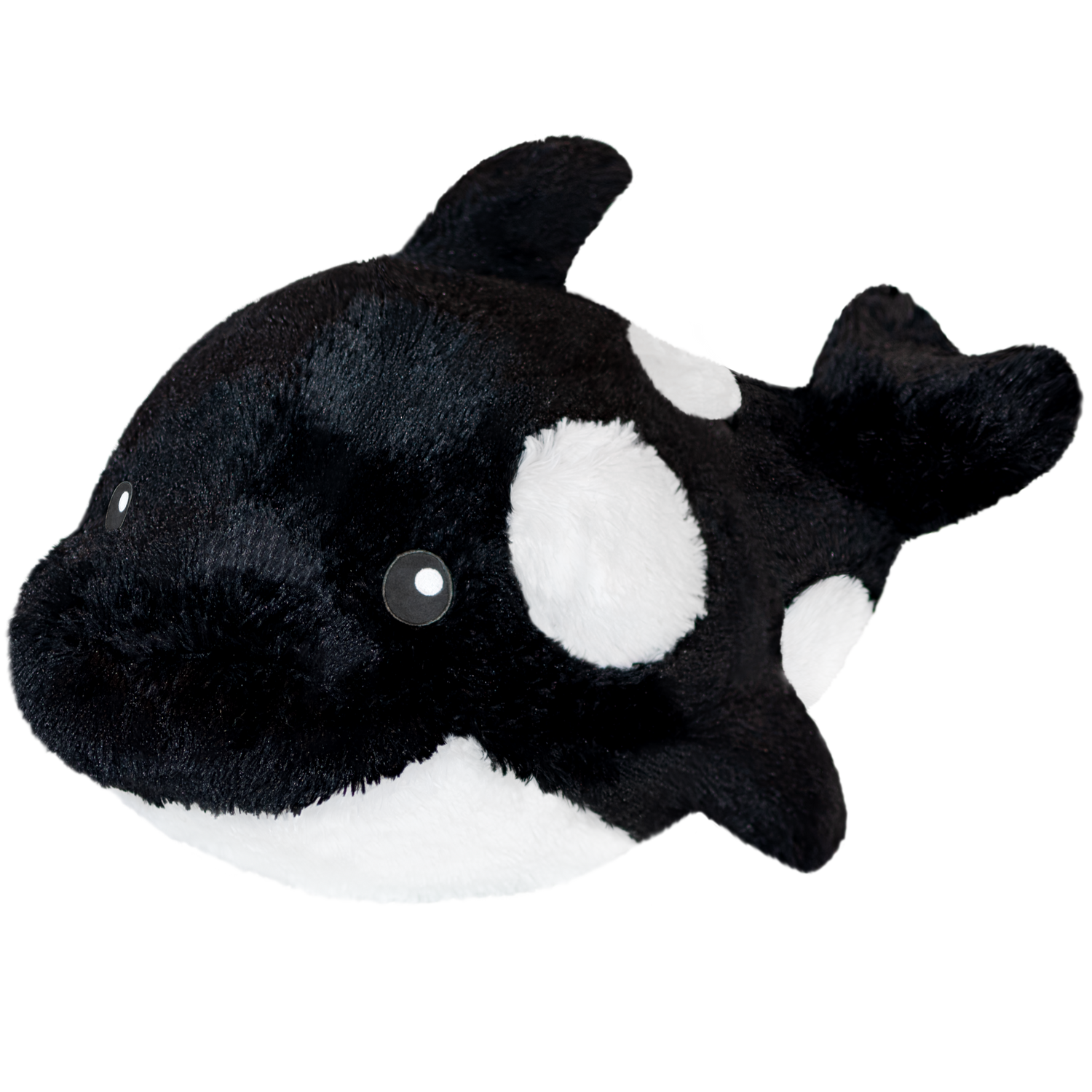 Squishable Orca II Squishable