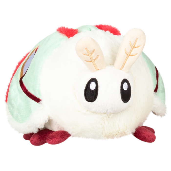 Squishable.ca