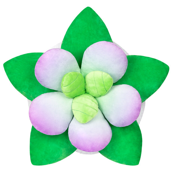 Squishables – Page 2 – Squishable.ca